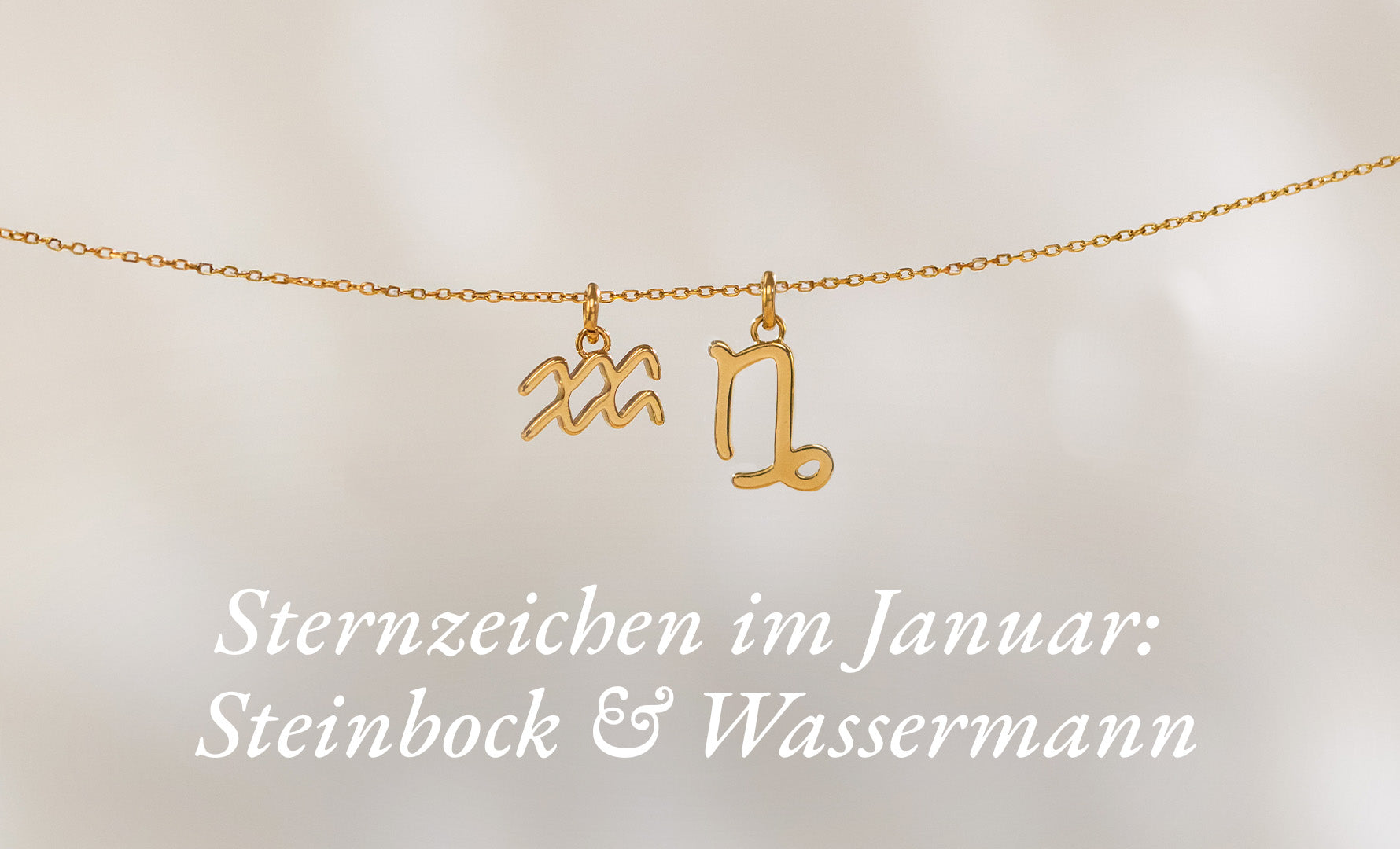 Januar Sternzeichen: Steinbock und Wassermann – PURELEI